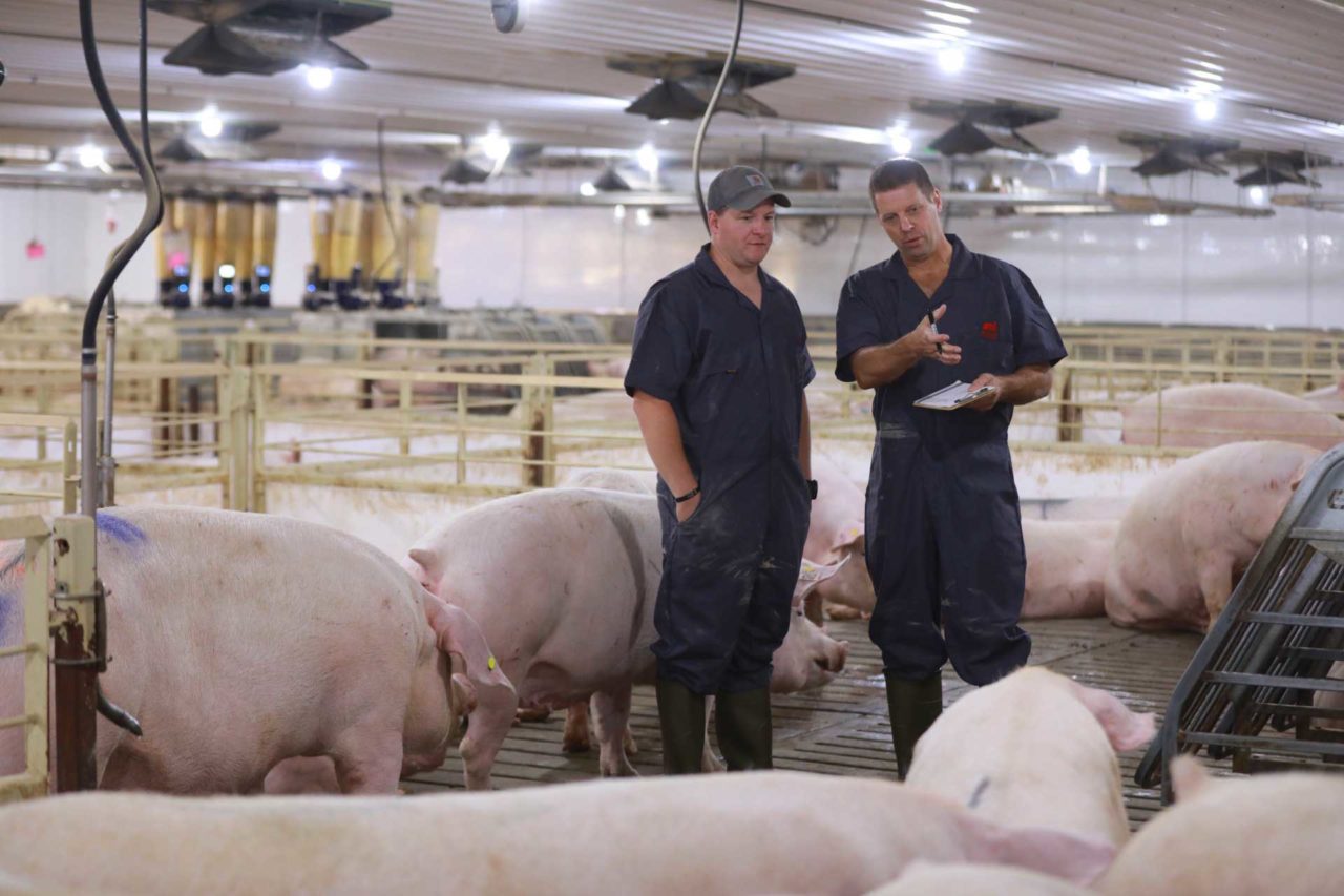 Nutrition Consulting - Standard Nutrition Services