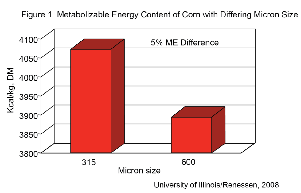 Corn Particle Size - Pay Attention and Harvest the Value - Standard ...