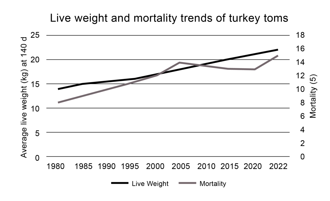 Feeding The Modern Turkey - Standard Nutrition Services